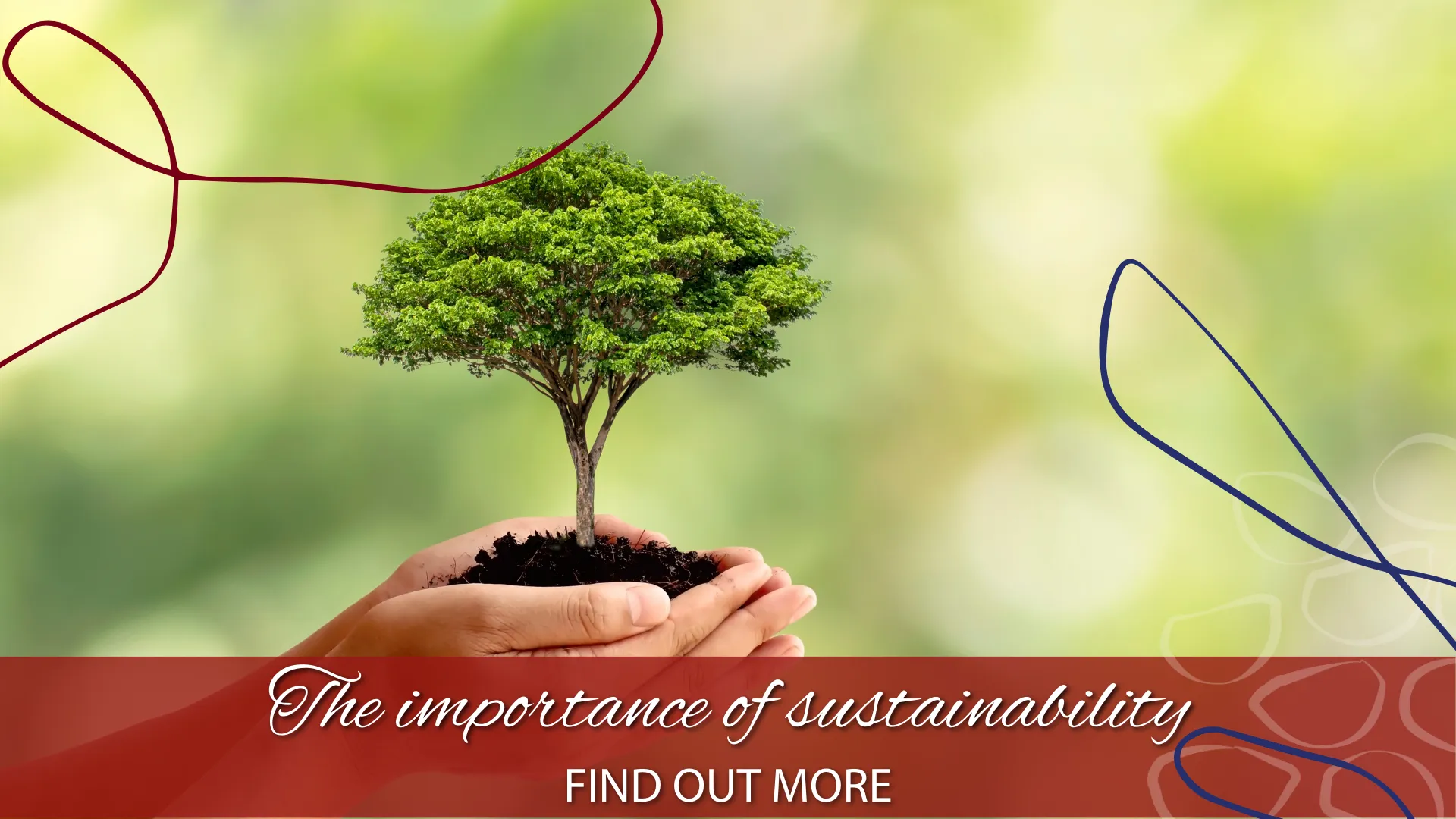 The importance of sustainability - O.P. Sabina