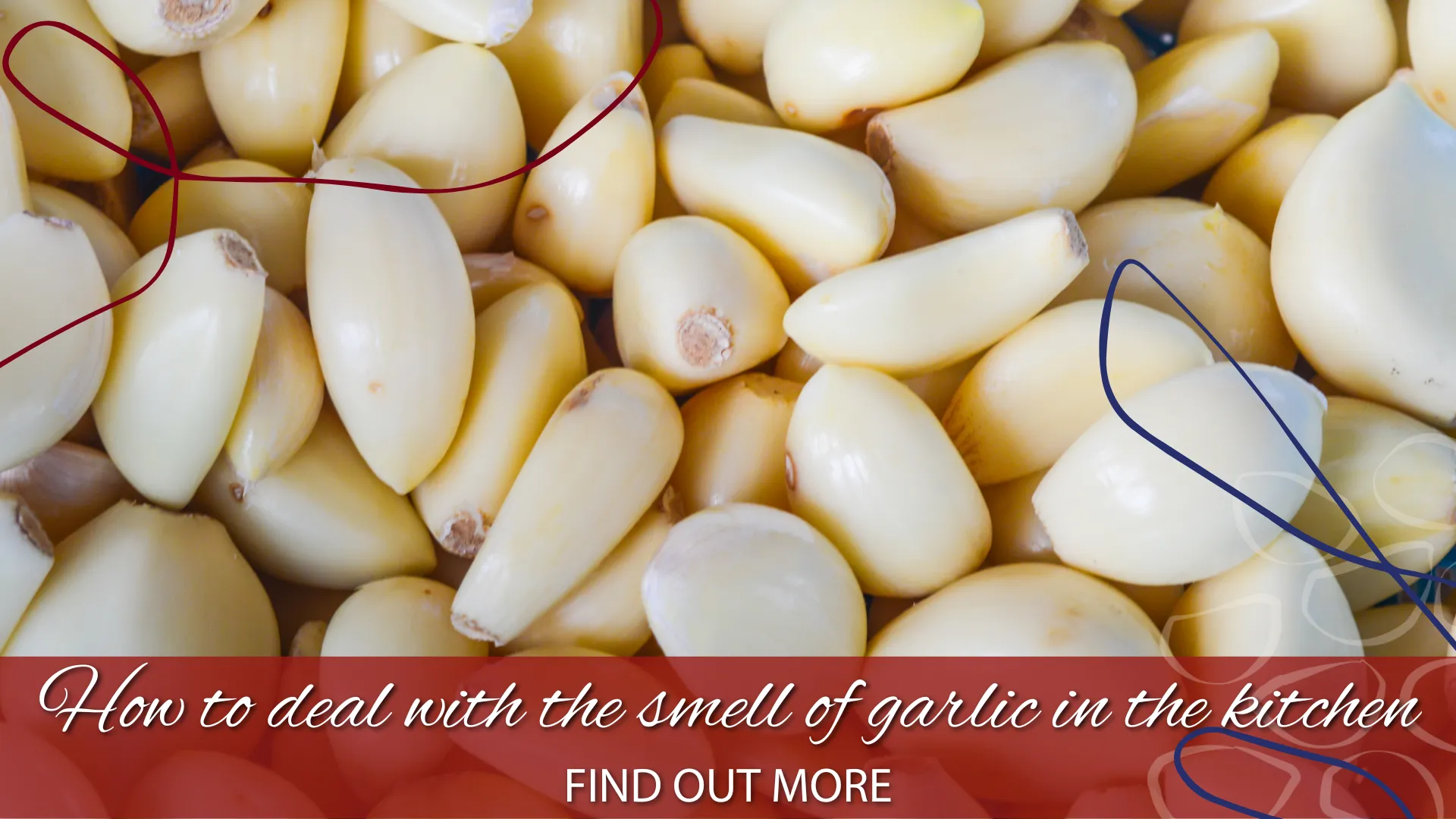 How to deal with the smell of garlic in the kitchen - O.P. Sabina