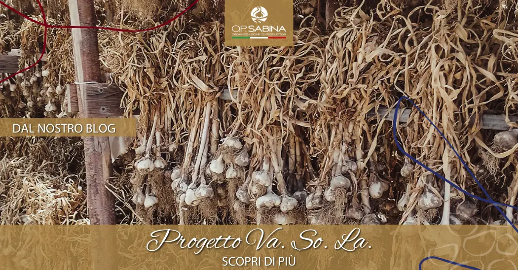 Progetto Va.So.La. - O.P. Sabina